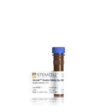 NeuroFluor™ NeuO Membrane-permeable fluorescent probe for the detection ...